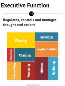 Executive Function Primer (Part 1) | Musings of an Aspie